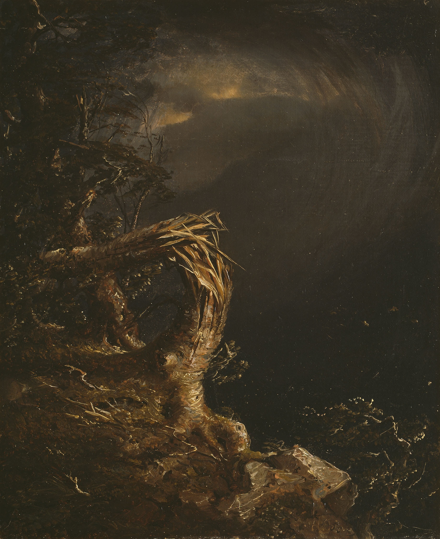 Blasted Tree - Jasper Francis Cropsey 作品高清图 - 麦田艺术