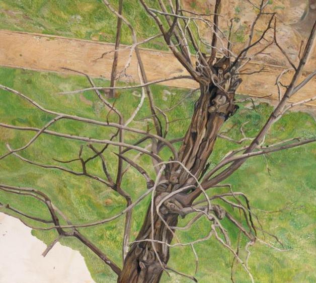 卢西安·弗洛伊德 Lucian Freud《Acacia》1975-花瓣网
