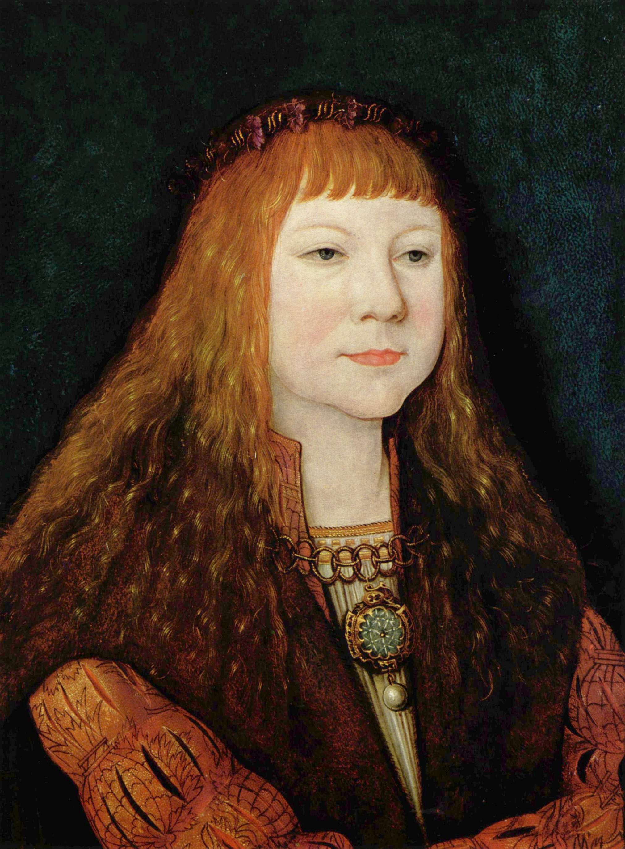 Portrait of Louis II of Hungary - Bernhard Strigel作品,无水印高清图 - 麦田艺术