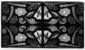 Metamorphosis III - M.C. Escher 作品高清大图 - 麦田艺术