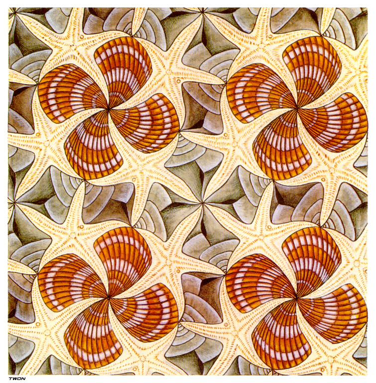 Shells and Starfish - M.C. Escher 作品高清图 - 麦田艺术