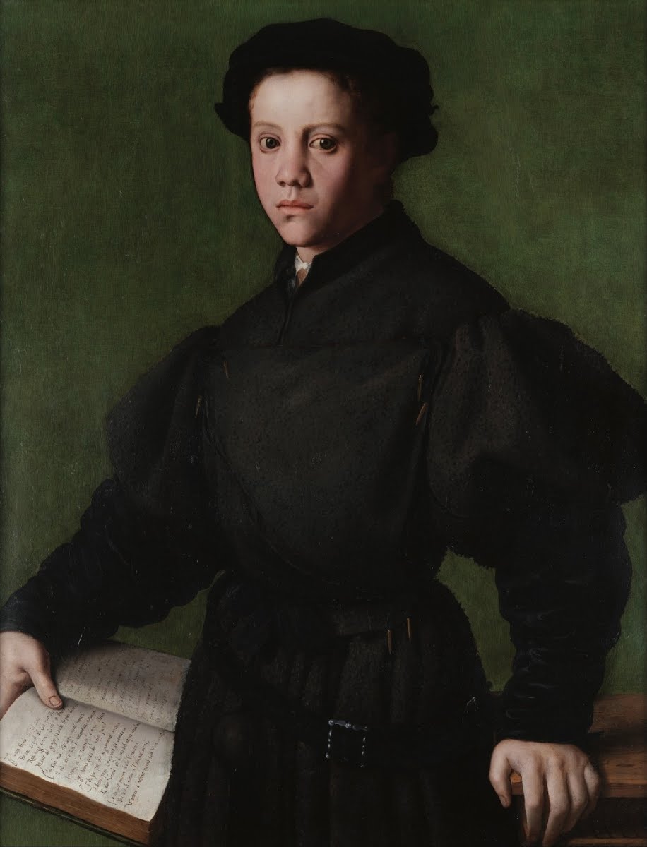 Portrait of Lorenzo Lenzi - Agnolo Bronzino 作品高清大图 - 麦田艺术