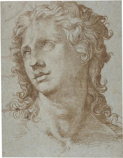 Male Head - Bartolomeo Passerotti 作品高清大图 - 麦田艺术