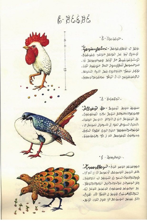 Birds from "Codex Seraphinianus" - Luigi Serafini 作品高清图 - 麦田艺术