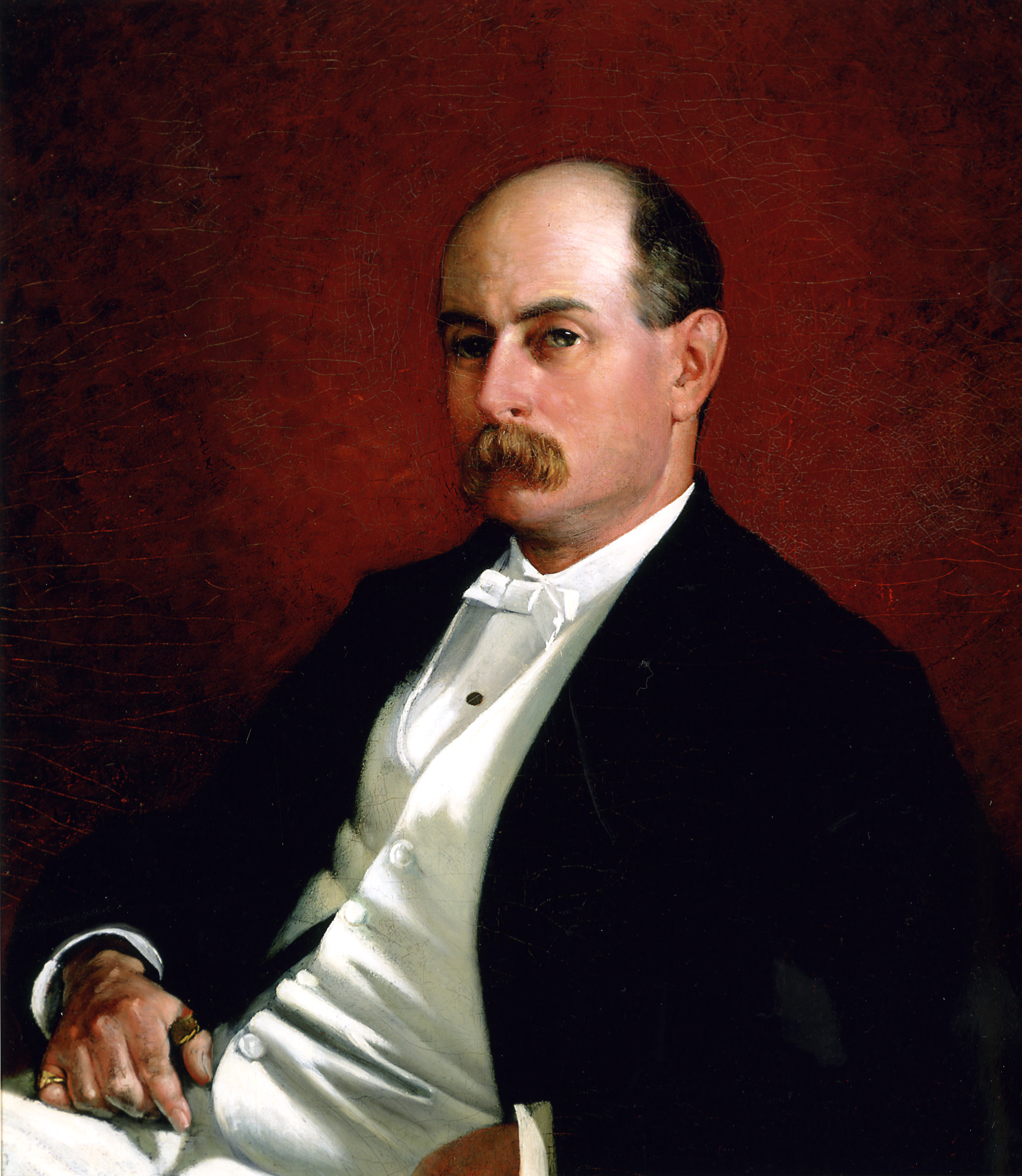 Portrait of Charles Francis Adams, Jr. - Francis Davis Millet 作品高清大图 - 麦田艺术
